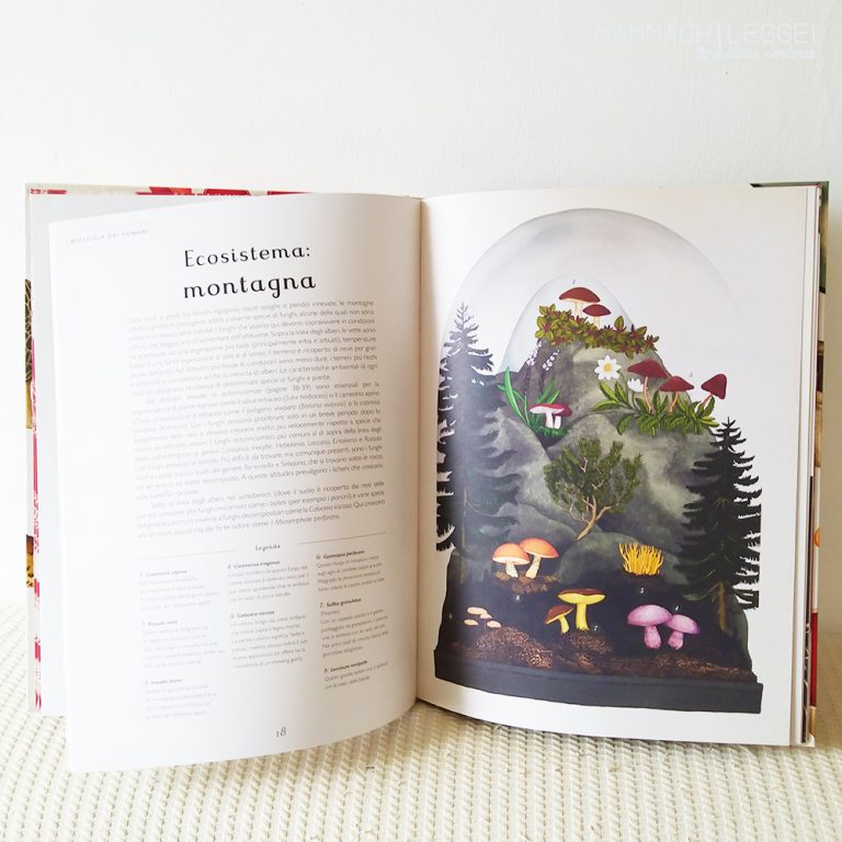 Fungarium di Katie Scott e Ester Gaya - Mammachilegge!